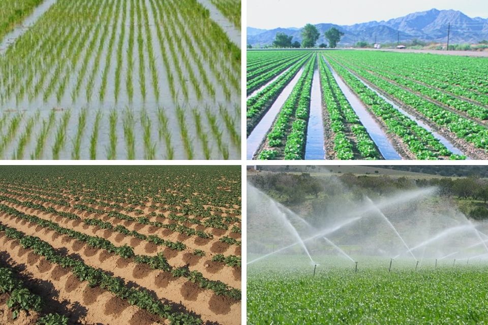 Watering & Irrigation Systems In Nairobi | Lumen Vault Kenya